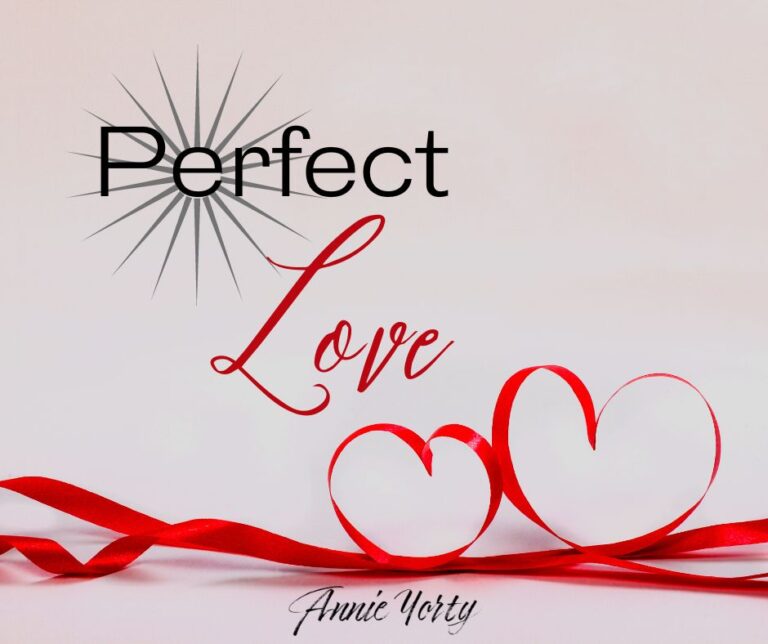 Perfect Love — Annie Yorty