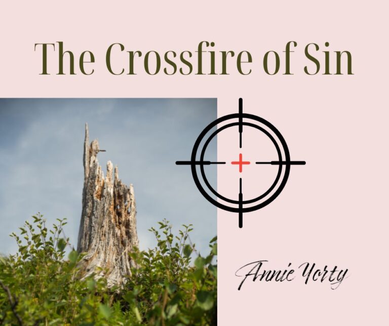 The Crossfire of Sin — Annie Yorty